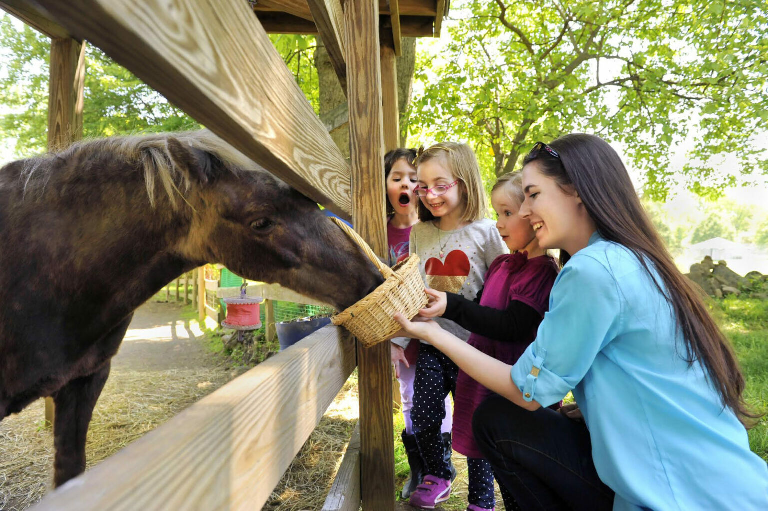 Home - Mohawk Country Day School